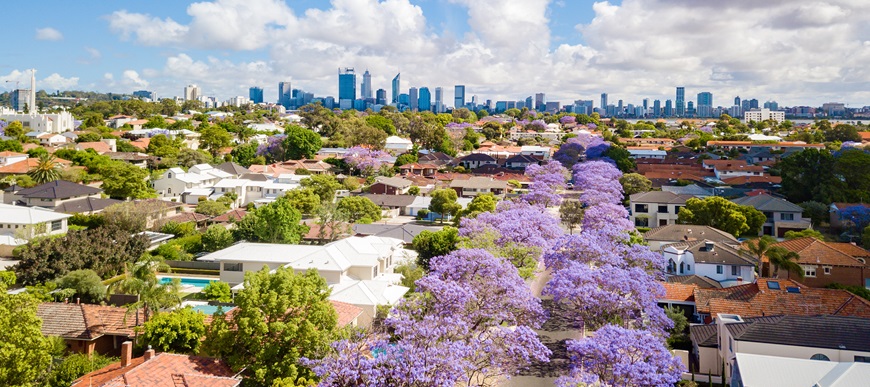 City of South Perth - Homepage